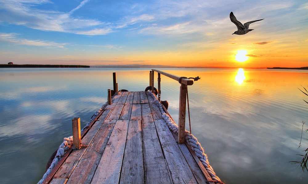 Vols aller simple Floride | Aubaines Floride | Air Transat