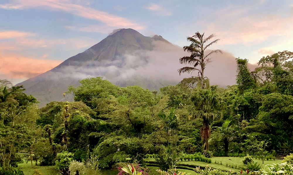 Vol Montréal (YUL) () | Air Transat