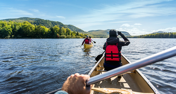 Book an excursion | Air Transat